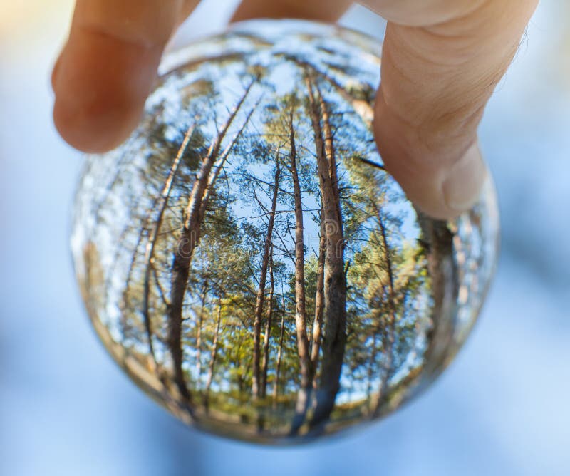 Trees Reflected in Glass Sphere Held by Human Hand Stock Photo - Image ...