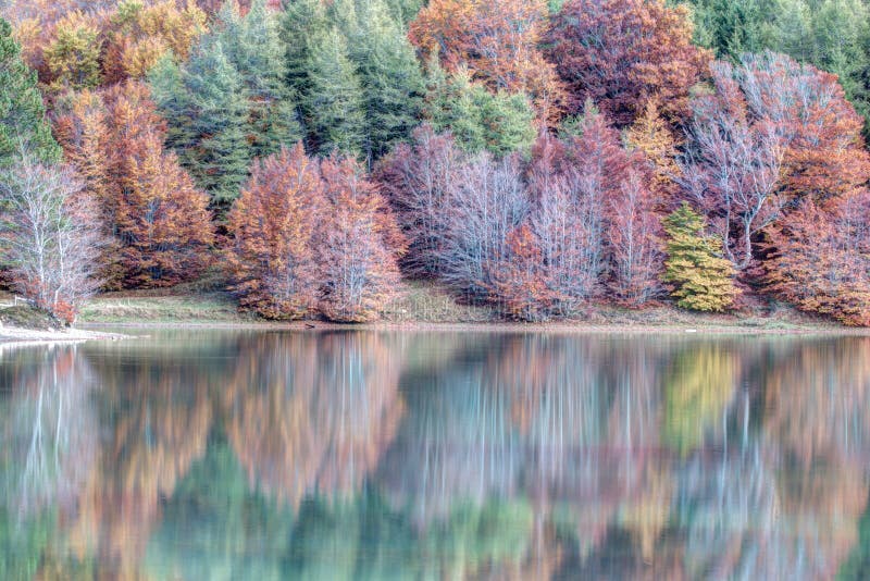 Trees Reflected in the Lake Stock Image - Image of colorful, natural ...