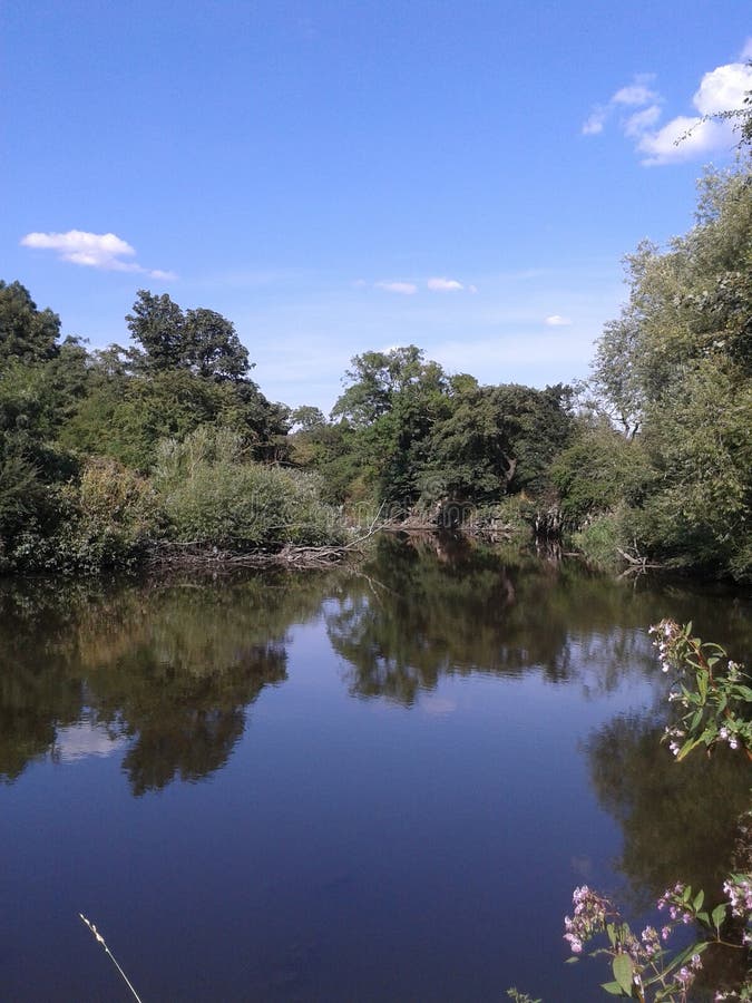 Trees Reflected in River Don Stock Photo - Image of rotherham ...