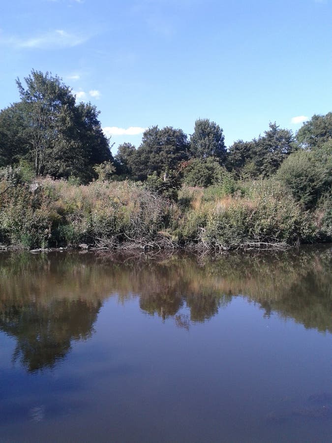 Trees reflected on river stock image. Image of village - 96539585