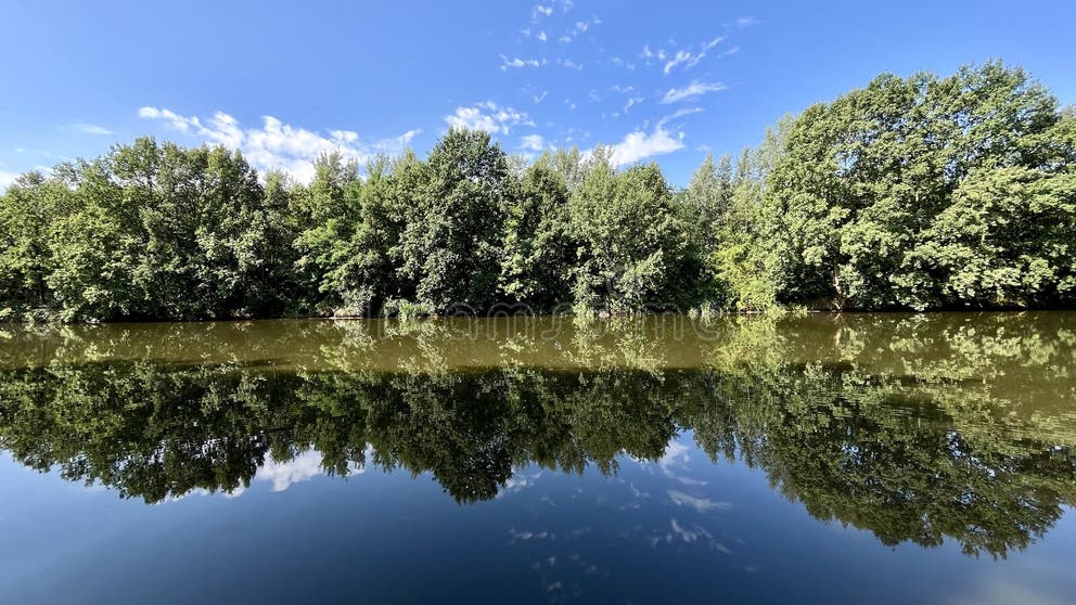 Trees Reflected in the River Water. Landscape on the Oder River Stock ...