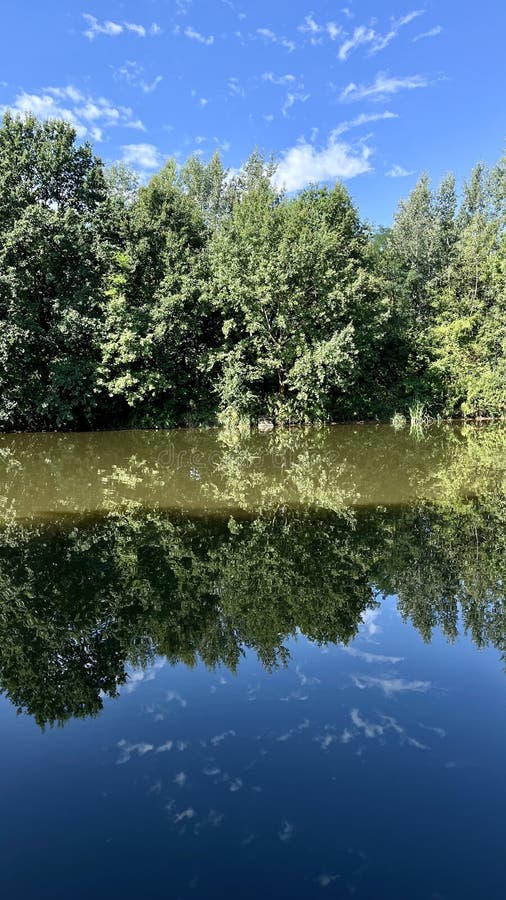 Trees Reflected in the River Water. Landscape on the Oder River Stock ...