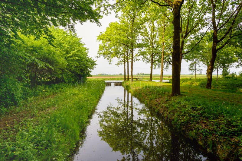 Trees Reflected in the Smooth Surface of a Straight Stream Stock Image ...