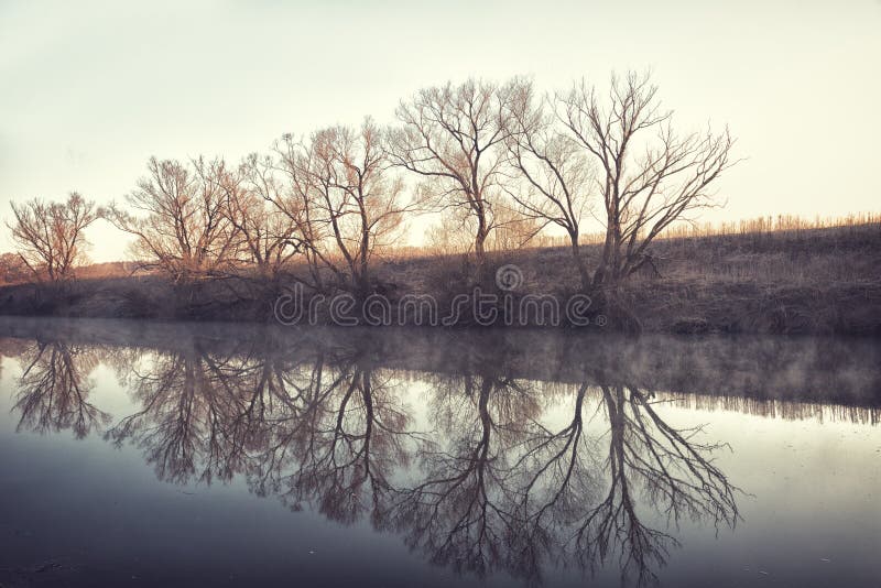 Trees are Reflected in Water Early in the Morning in the Spring Stock ...