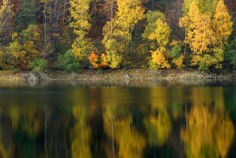 Trees Reflected in the Water Sheet Stock Image - Image of lake ...