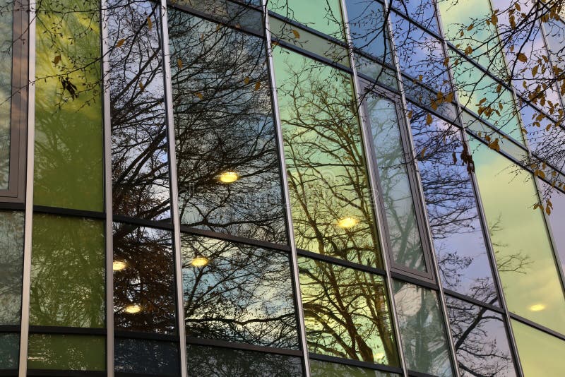 Trees Reflecting in the Glass Windows of a Building Stock Photo - Image ...