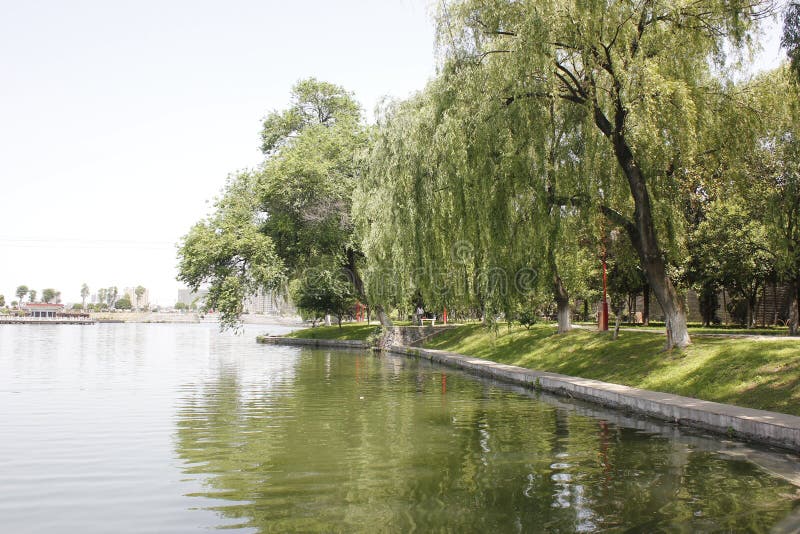 Trees Reflecting on the Lake of the City Moat (Xiangyang,China ...