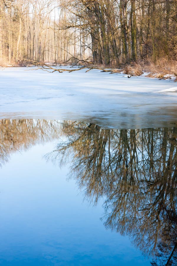 Spring thaw stock image. Image of water, calm, trees - 29725135