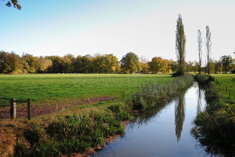 Trees Reflecting in a Stream Stock Photo - Image of netherlands, brook ...