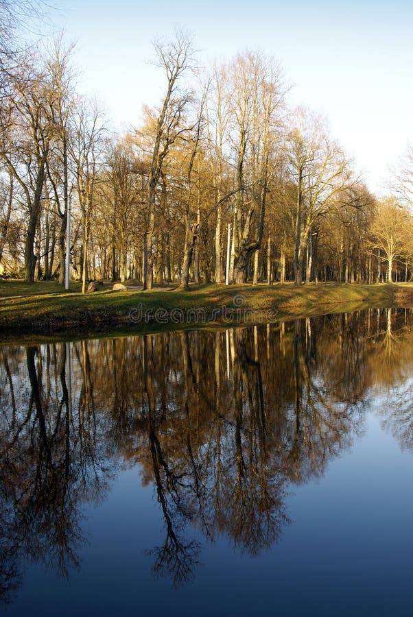 Trees reflecting on water stock photo. Image of waterway - 12609278