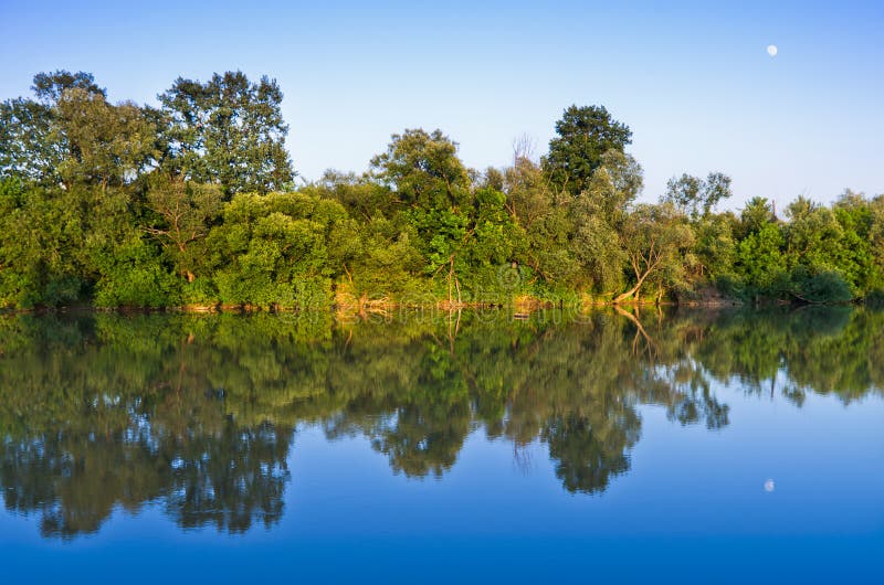 Trees with reflection stock photo. Image of clear, tree - 19952100