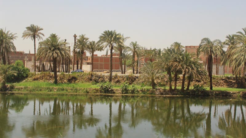 Assiut Egypt Stock Photos - Free & Royalty-Free Stock Photos from ...