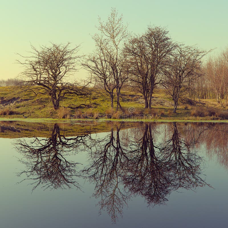 Trees and reflection stock image. Image of summer, four - 268952179