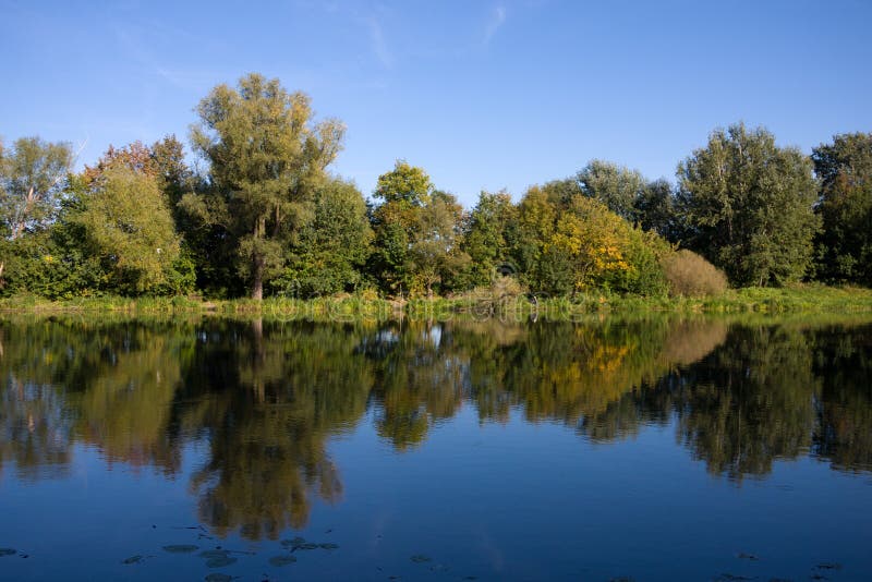 Trees reflection in a lake stock image. Image of outdoor - 16576809