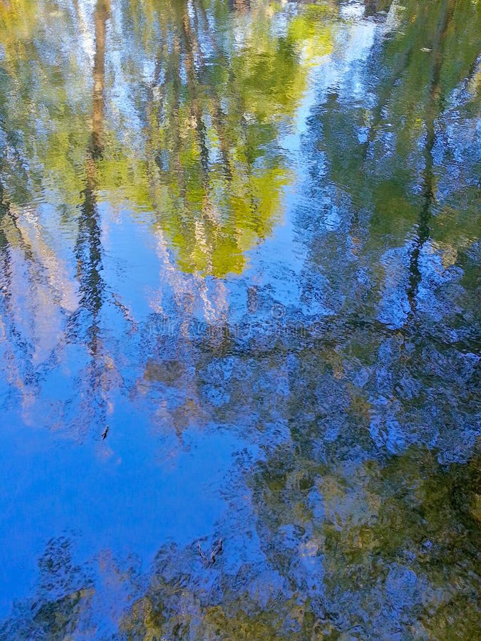 Trees Reflection in a Pond. Water Ripples Create an Impression of ...