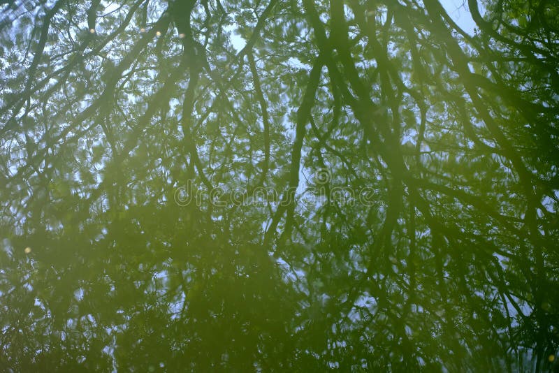 Trees Reflection on Rippled Water Surface Stock Photo - Image of ...