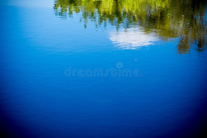 Trees Reflection in the River Stock Image - Image of seasons, objects ...