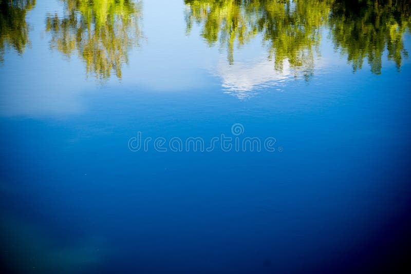 Trees Reflection in the River Stock Image - Image of weather, outdoors ...