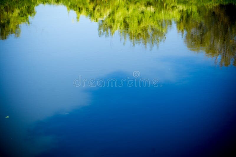 Trees Reflection in the River Stock Image - Image of natural, summer ...