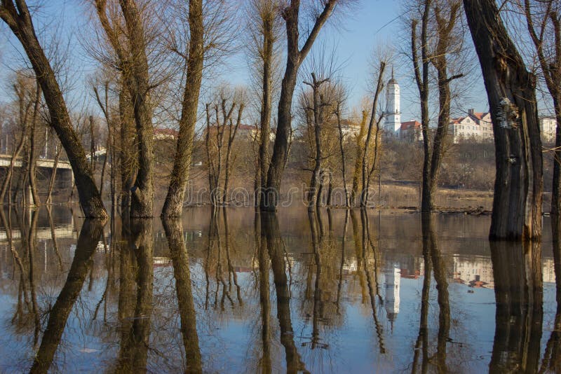 Trees reflection on water. stock photo. Image of light - 37867434