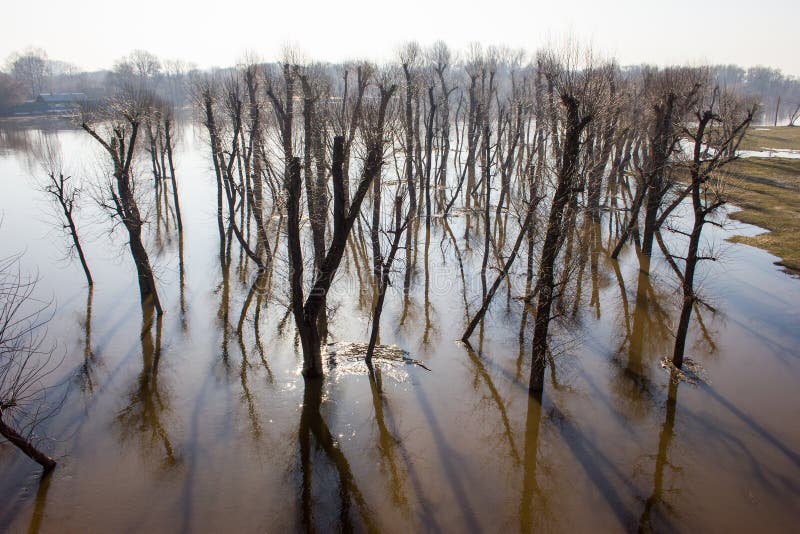 Trees reflection on water. stock photo. Image of landscape - 37867656