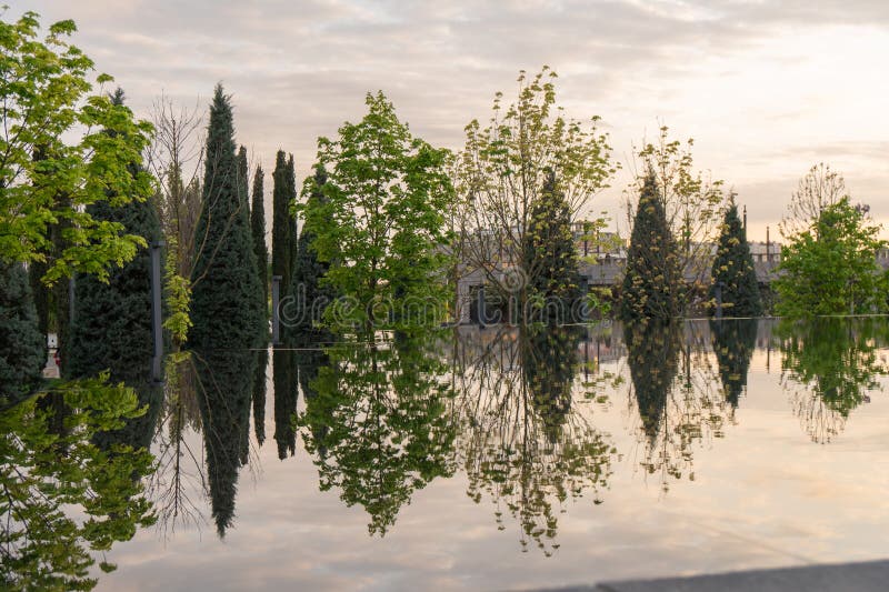 Trees Reflection Water Sunset Landscape Their Body Stock Photos - Free ...