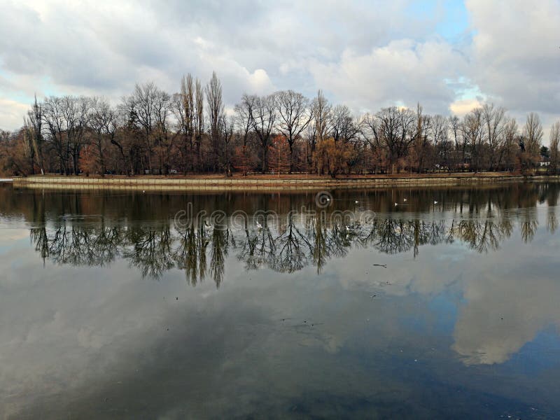 Trees Reflection in the Water during Winter Stock Image - Image of ...