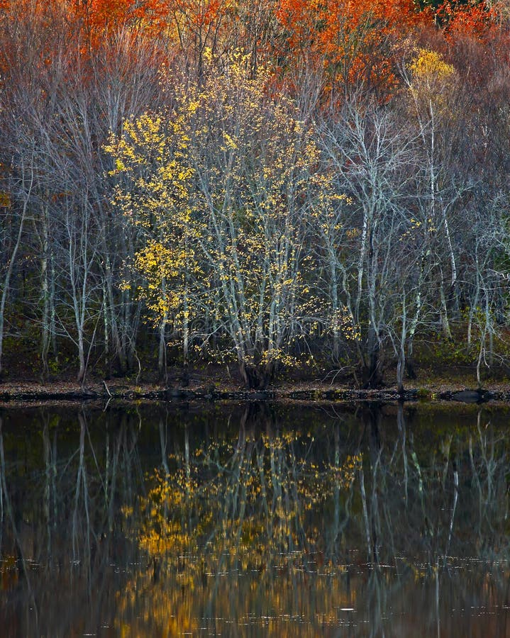 Fall Autumn Colors Water Reflection Stock Image - Image of landscape ...