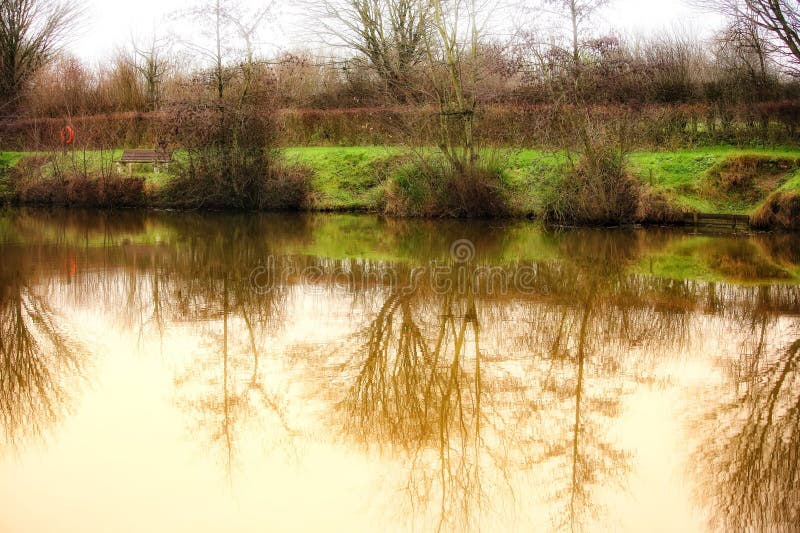 Reflections of Trees in a Lake Stock Image - Image of reflections ...