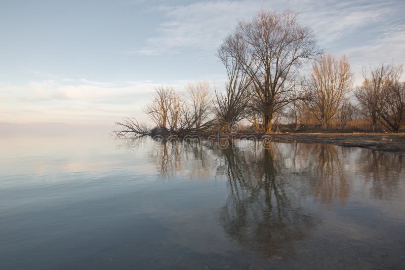 Trees reflections stock image. Image of lake, light, clouds - 90337789