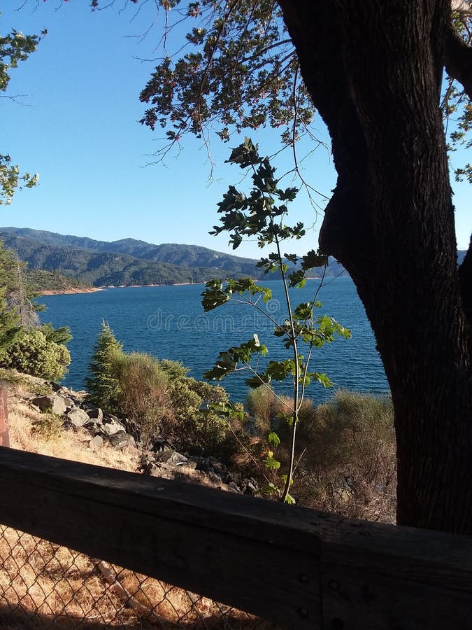 Trees stock photo. Image of beautiful, water, trees - 120799326