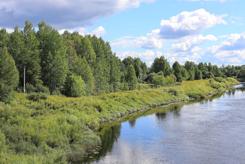 Trees on the River Bank are Reflected in the Water Stock Image - Image ...