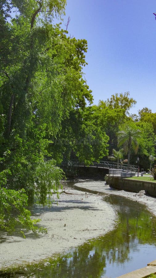 River with Trees. Waterless Rocks. Stock Photo - Image of bridge ...