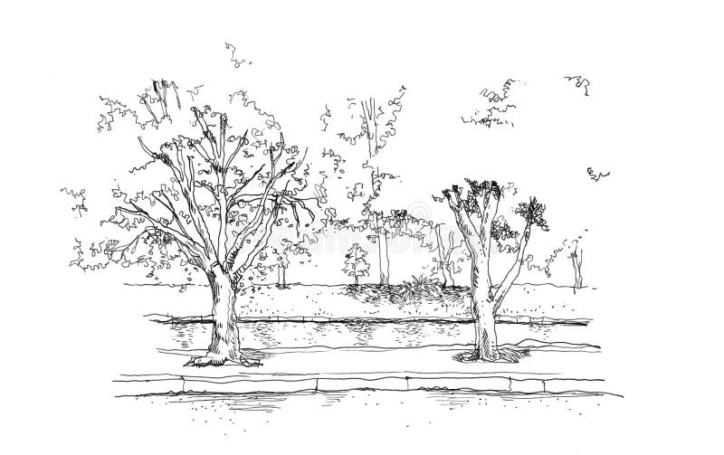Trees and River Canal Hand Drawing Illustration Stock Illustration ...