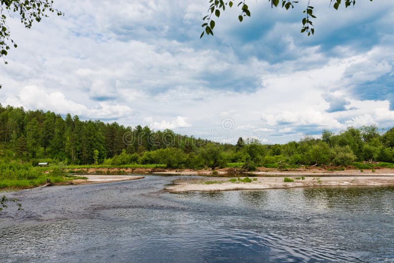 Trees and a river stock photo. Image of ecology, conifer - 74221114