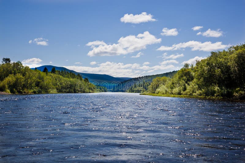 Trees and a river stock image. Image of europe, snow - 33467145