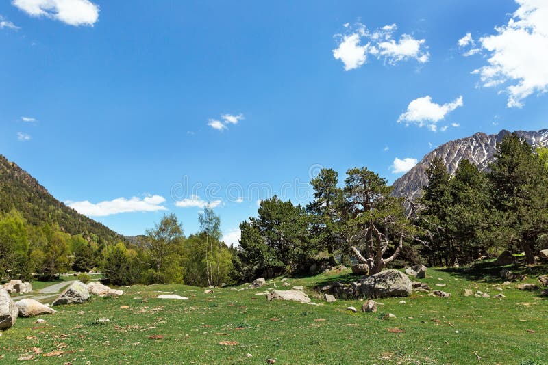 Trees and Road in the Pyrenees Mountains Stock Photo - Image of ...