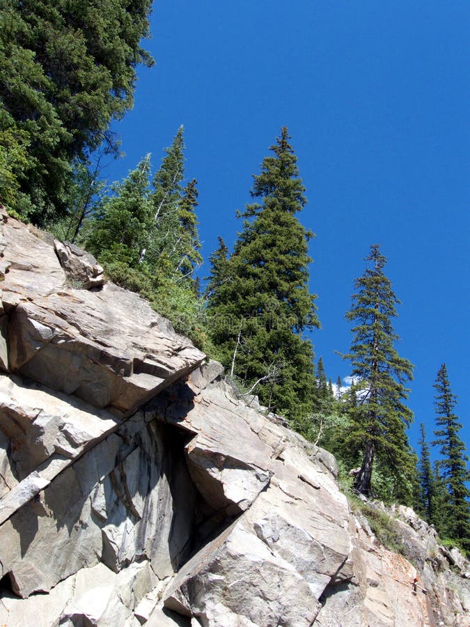Trees in Rock stock image. Image of high, forest, mountains - 5858327