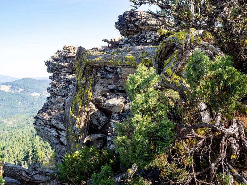 Rock Cliffs - Albany Western Australia Stock Photo - Image of light ...