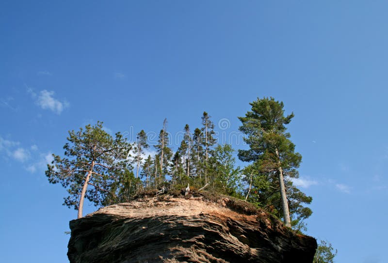 Trees on rock formation stock image. Image of foliage, nature - 962009
