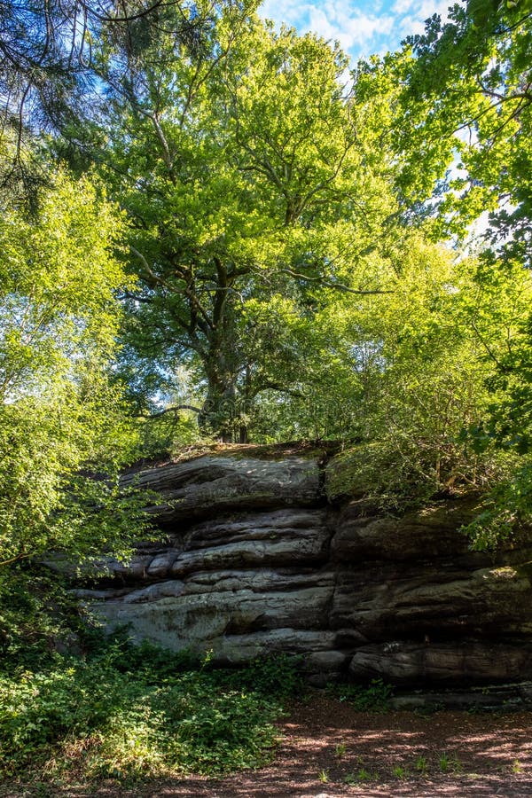 Trees and Rock Formation in Summer Sunshine Stock Image - Image of ...