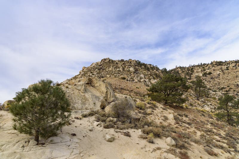 Trees on Rock Mountain Side Under Blue Sky with Clouds Stock Photo ...