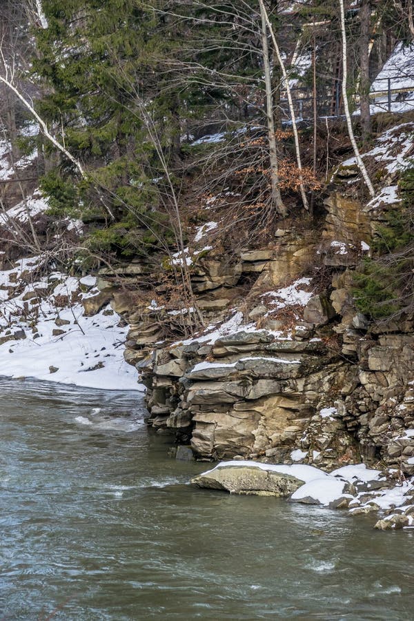 Trees on a Rock by the River Stock Photo - Image of yaremche, trees ...