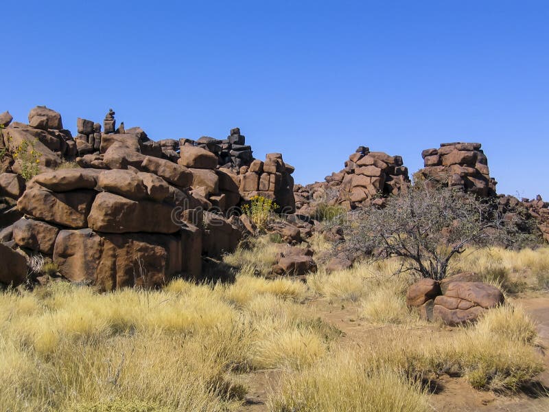 Trees and Rocks, Fish River Canyon, Namibia Stock Image - Image of park ...