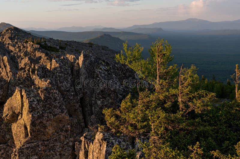 Trees on rocks stock image. Image of ridge, mountain - 62644061