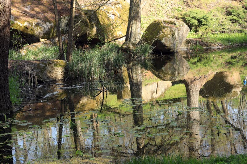 Trees and Rocks Reflected in River Water Stock Image - Image of swamp ...