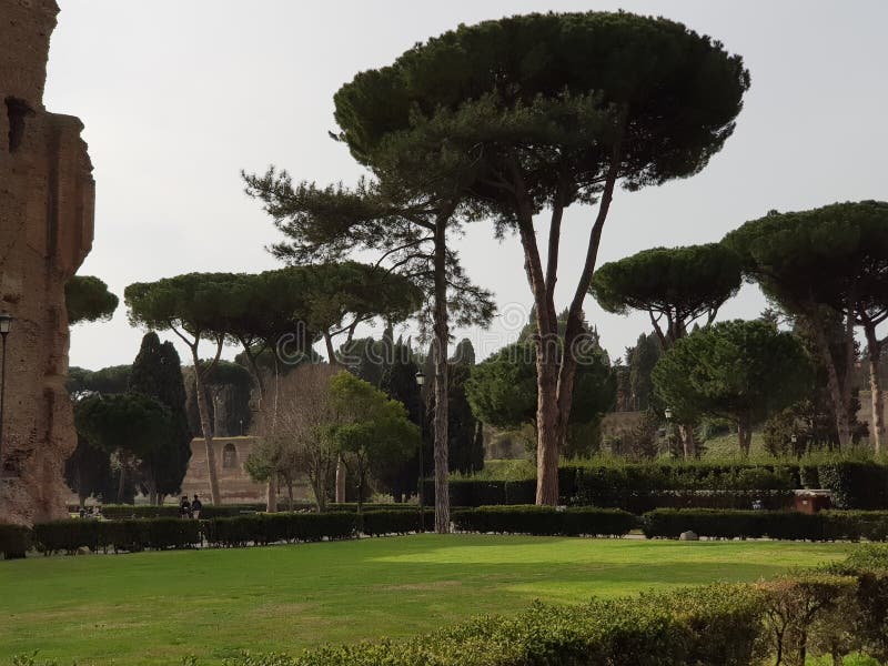 Trees in Rome, Italy stock image. Image of italian, country - 5341771