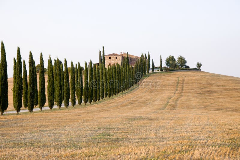 Trees row stock image. Image of nature, plow, house, vegetation - 15888577