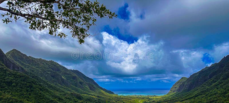 Trees and Scenery on the Grounds of Kualoa Ranch on Oahu in Hawaii ...