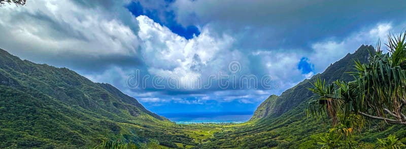 Trees and Scenery on the Grounds of Kualoa Ranch on Oahu in Hawaii ...